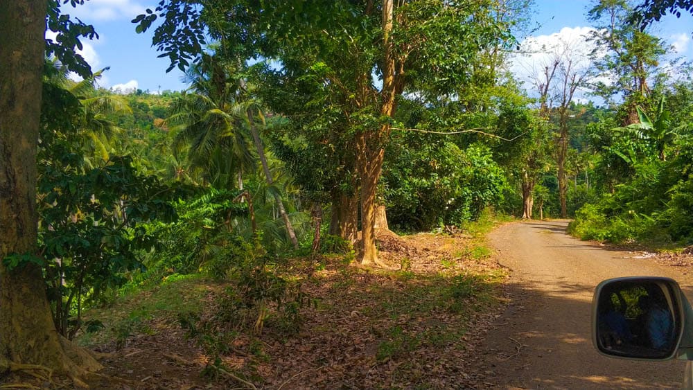 Moheli Island, Swimming With Humpback Whales In East Africa. - Unusual ...