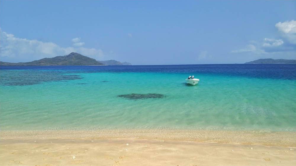 Moheli Island, Swimming With Humpback Whales In East Africa. - Unusual ...