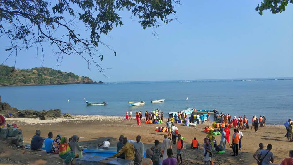 Moheli Island, Swimming With Humpback Whales In East Africa. - Unusual ...